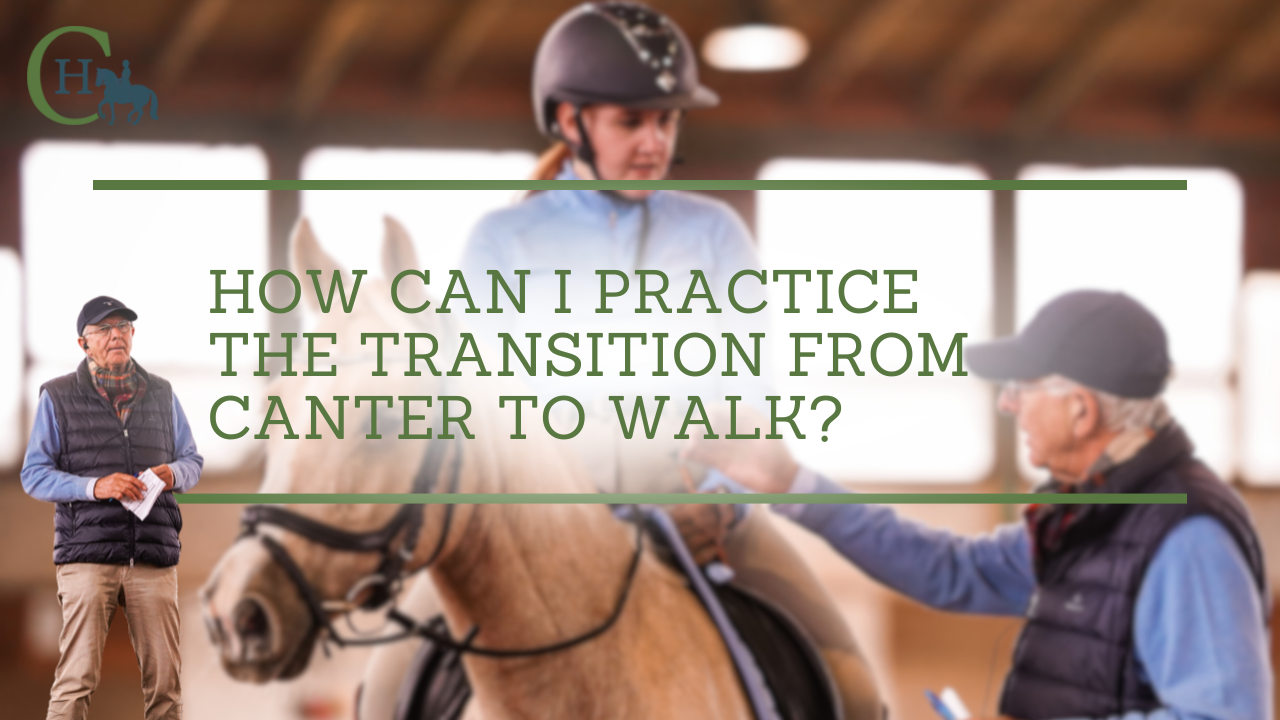 How can I practise the transition from canter to walk? – Christoph Hess